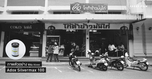 ภาพตัวอย่างฟิล์ม Adox Silvermax 100 | Sheep Film