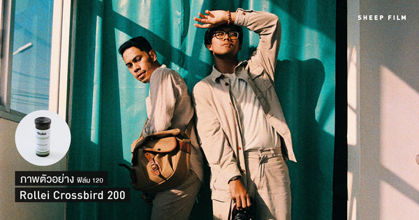 [120 film] ภาพตัวอย่าง Rollei Crossbird 200 | Sheep Film